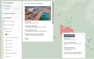 User Guide: Interactive Map of Copper & Cobalt Production in the DR ...