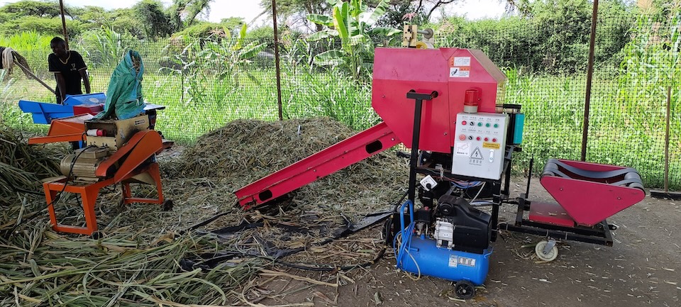 Investor Promoting Chinese-Engineered ‘Magic Grass’ in Kenya - The ...